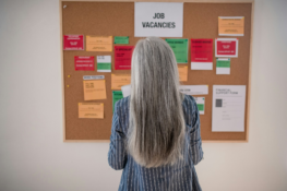 SEED, New Brunswick’s student wage subsidy program, now accepting ...