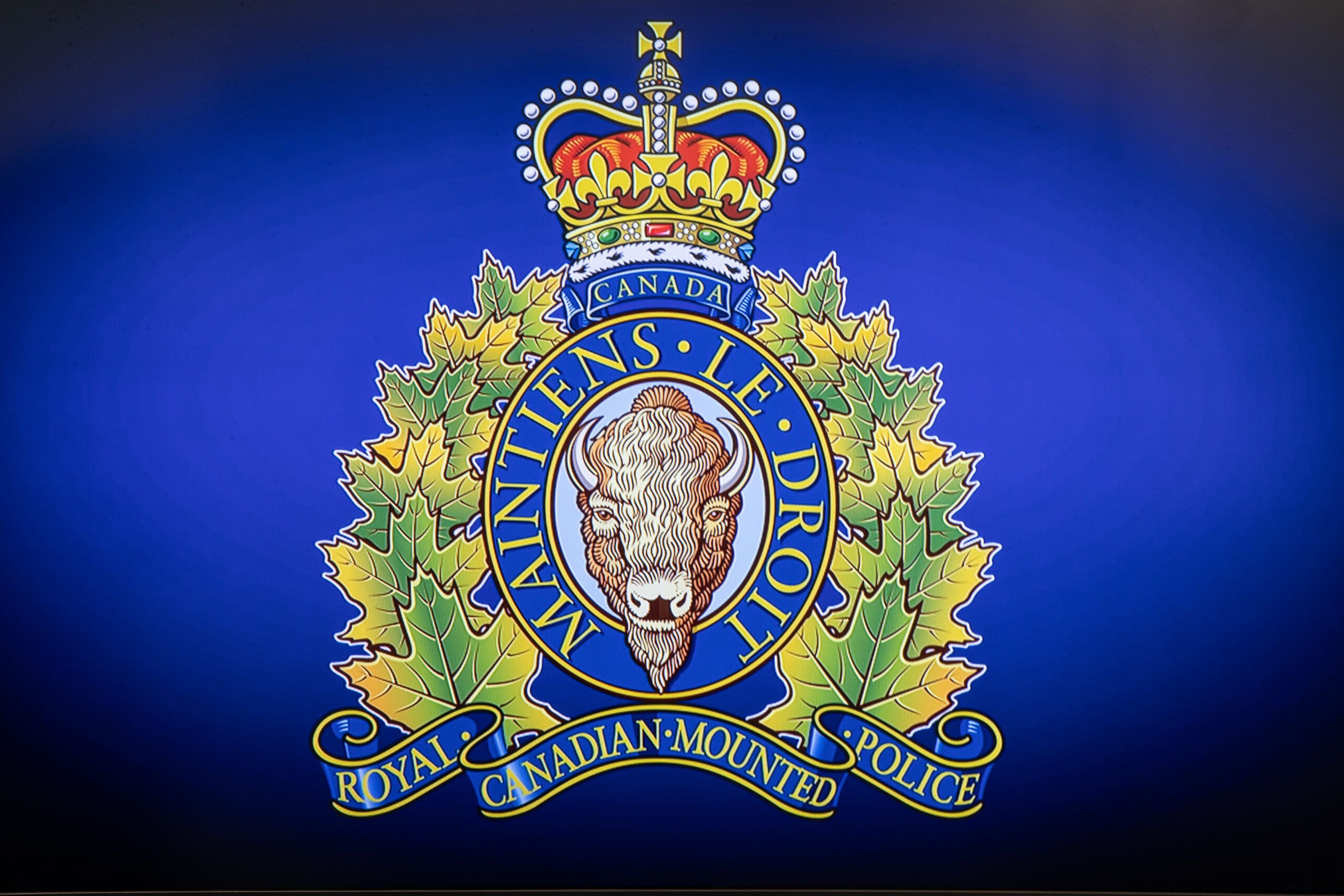RCMP union cuts into Alberta Next Panel for recommendation to shed ...