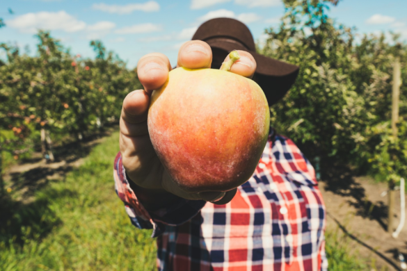 Power Workers’ Union members approve new Hydro One contract – HR News Canada